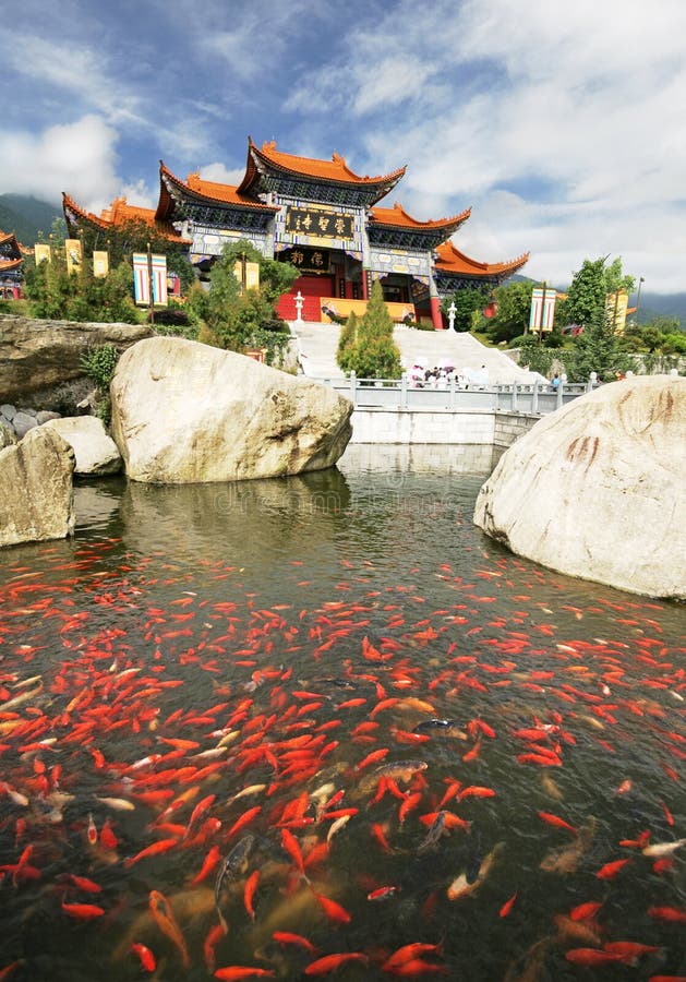 Goldfish in a Buddhist Temple in China Stock Image - Image of carp ...
