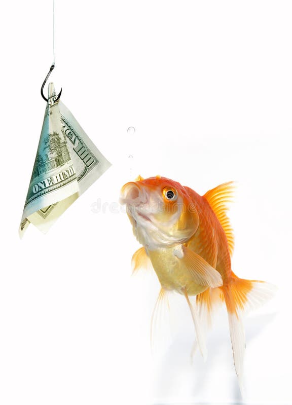 Goldfish and dollar stock photo. Image of cash, flourish - 1610702