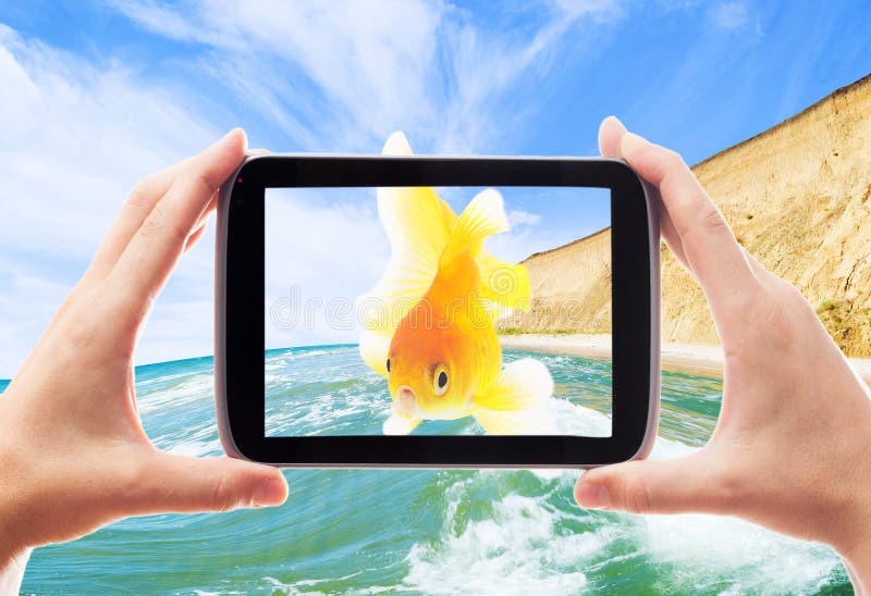 Goldfish Phone Stock Photos - Free & Royalty-Free Stock Photos from ...