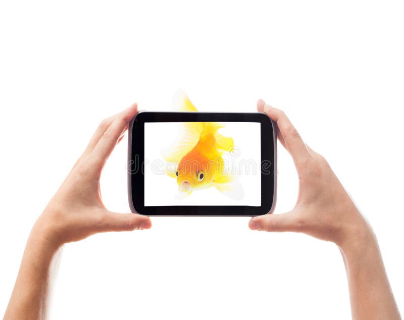 Goldfish Phone Stock Photos - Free & Royalty-Free Stock Photos from ...