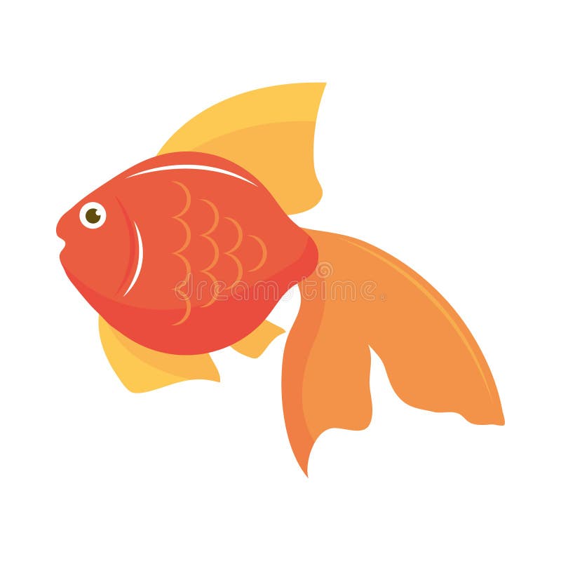 Goldfish icon isolated stock vector. Illustration of vector - 268976003