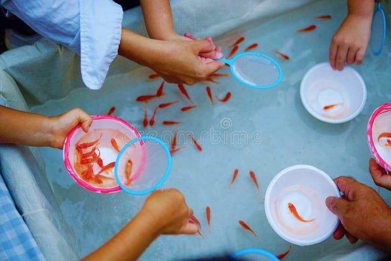 Goldfish Scooping Game Stall Stock Image - Image of scooping, aimed ...