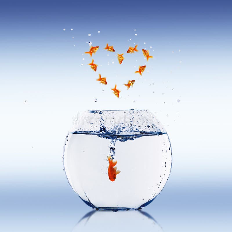 Goldfish Jump Picture. Image: 14967356