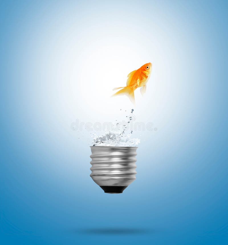 Fish in the bulb stock image. Image of goldfish, aquarium - 8249673