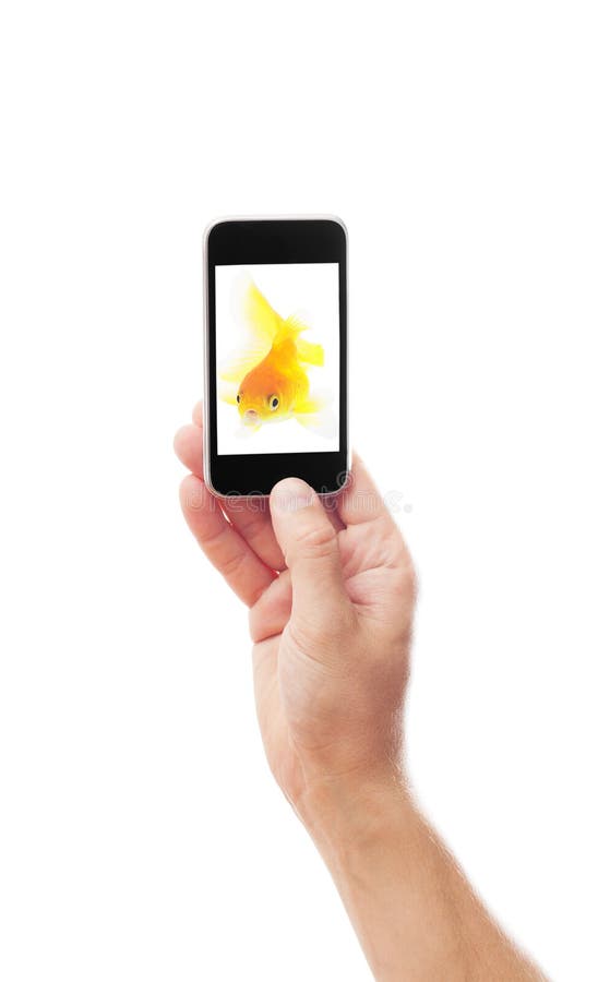 Goldfish Phone Stock Photos - Free & Royalty-Free Stock Photos from ...