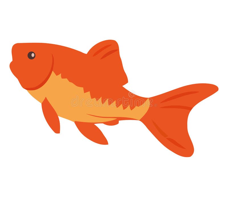 Goldfish swimming vector stock vector. Illustration of goldfish - 290832813