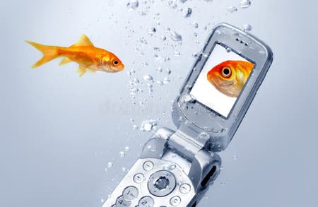 843 Phone Underwater Stock Photos - Free & Royalty-Free Stock Photos ...