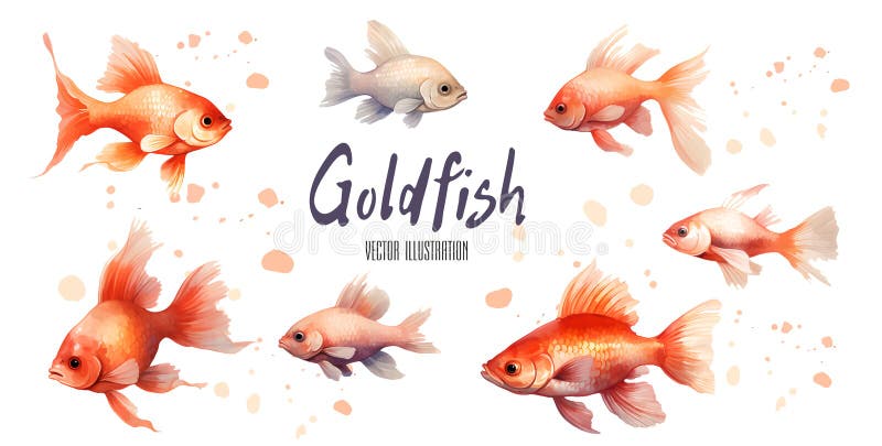 Goldfish Watercolor Vector Art Illustration Stock Vector - Illustration ...