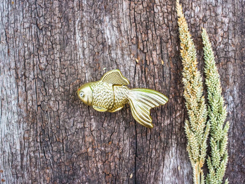 1,171 Goldfish Texture Stock Photos - Free & Royalty-Free Stock Photos ...