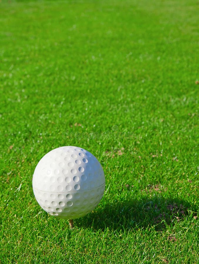 Golf stock photo. Image of sport, leisure, landscape, simple - 6043022
