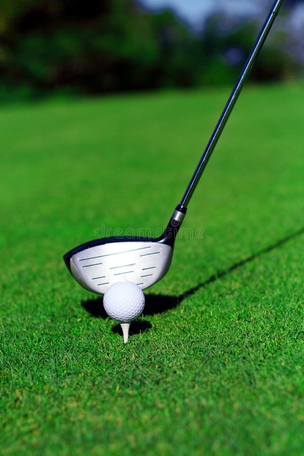 Golf stock image. Image of follow, divot, nature, leisure - 4885841