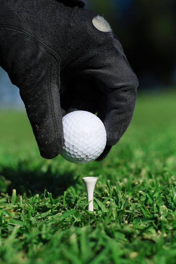 Golf stock photo. Image of sport, leisure, landscape, simple - 6043022