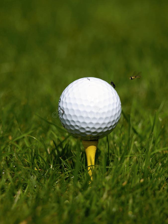 79,412 Success Ball Stock Photos - Free & Royalty-Free Stock Photos ...