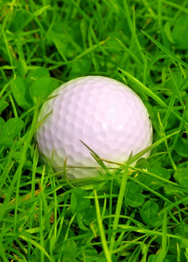 Golf Ball stock image. Image of seasonal, spring, entertainment - 716727