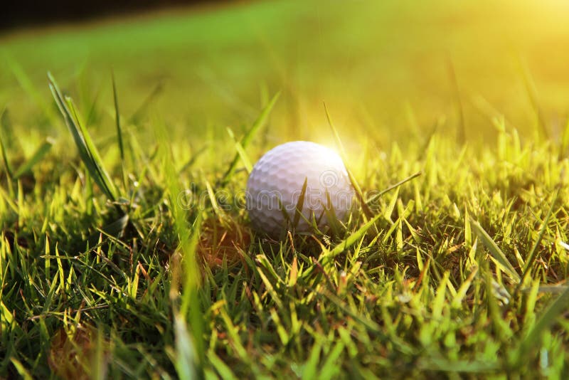 Golf Ball in Beautiful Golf Course with Sunset. Stock Image - Image of ...