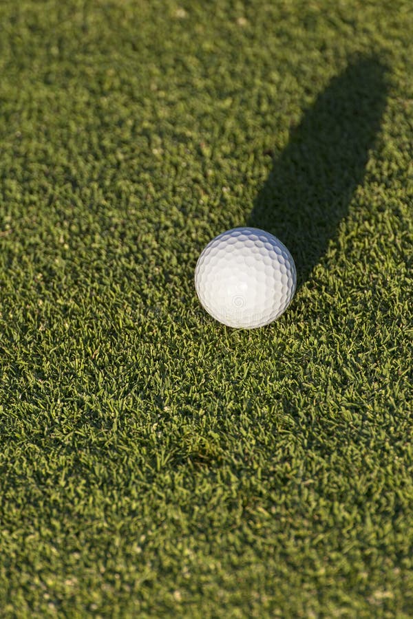 Golf Ball stock photo. Image of match, outdoors, field - 31451018