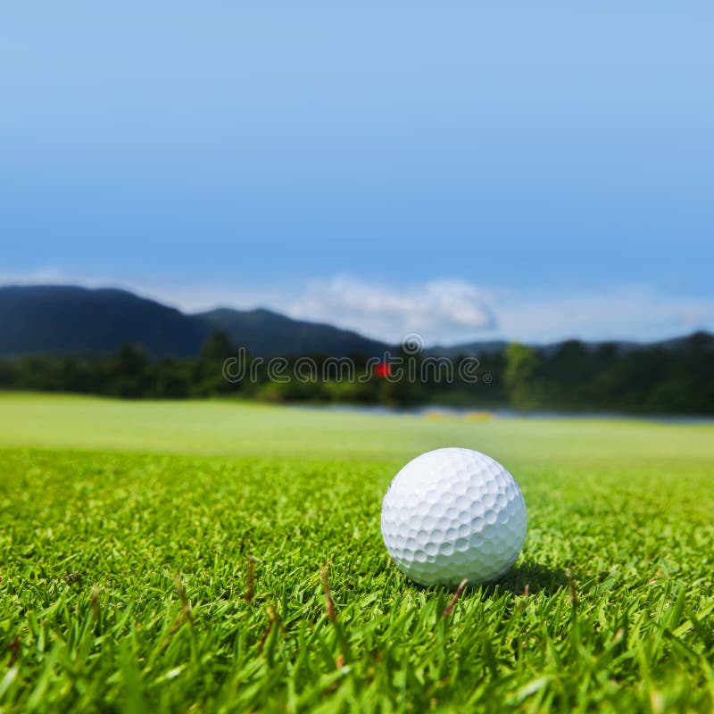 Golf ball on course stock photo. Image of hole, sunlight - 116006626