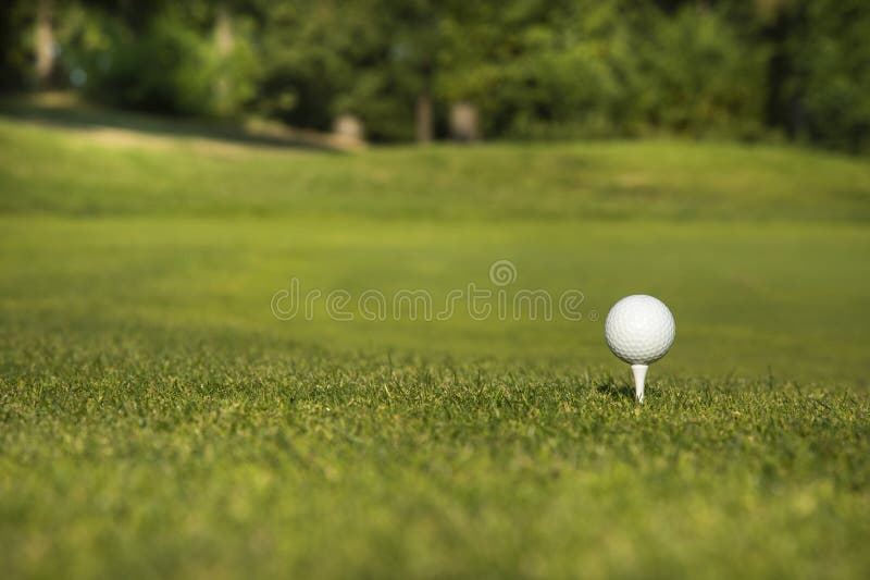 Golf Ball on the Golf Course Stock Photo - Image of hobby, golfer ...