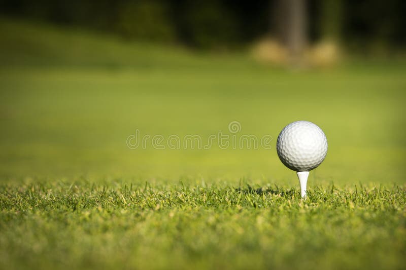 Golf Ball on the Golf Course Stock Image - Image of golfing, game ...