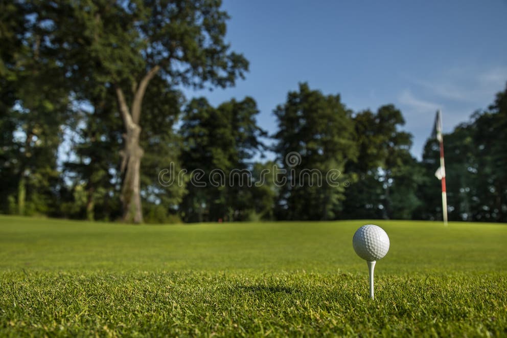 Golf Ball on the Golf Course Stock Photo - Image of lawn, field: 324351160