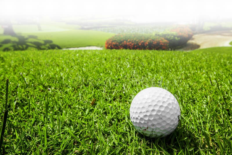 Golf ball on course stock photo. Image of sunny, beautiful - 128101184
