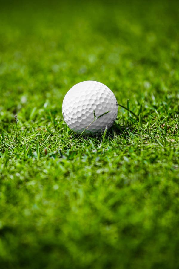 Golf ball on course stock photo. Image of field, beautiful - 128327800