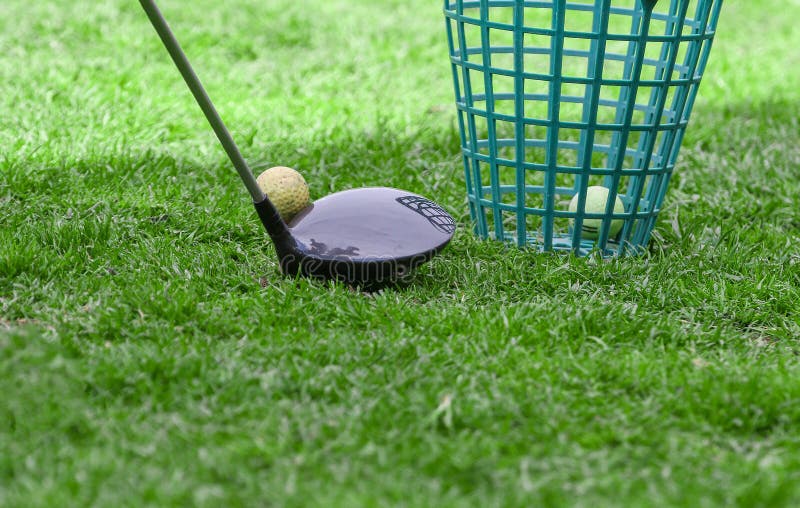 The the Golf Ball with a Driver in the Tee Box Stock Photo - Image of ...