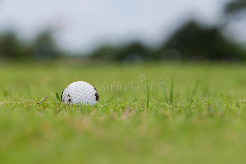 Golf ball on fairway stock image. Image of luxury, macro - 33135087