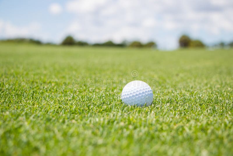 Golf Ball on Fairway stock photo. Image of beautiful - 105201886