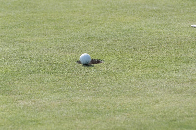Golf Ball on the Grass with a Few Centimeters Left To Fall into the ...
