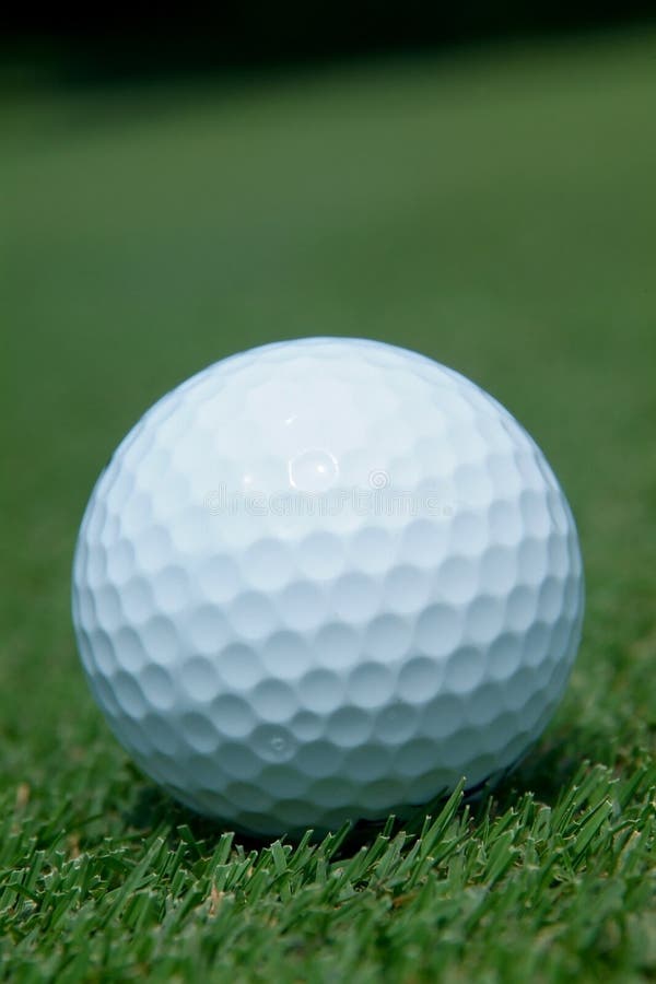 Golf ball in a tree stock image. Image of branch, ball - 1997631