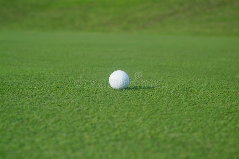 Golf ball in a tree stock image. Image of branch, ball - 1997631