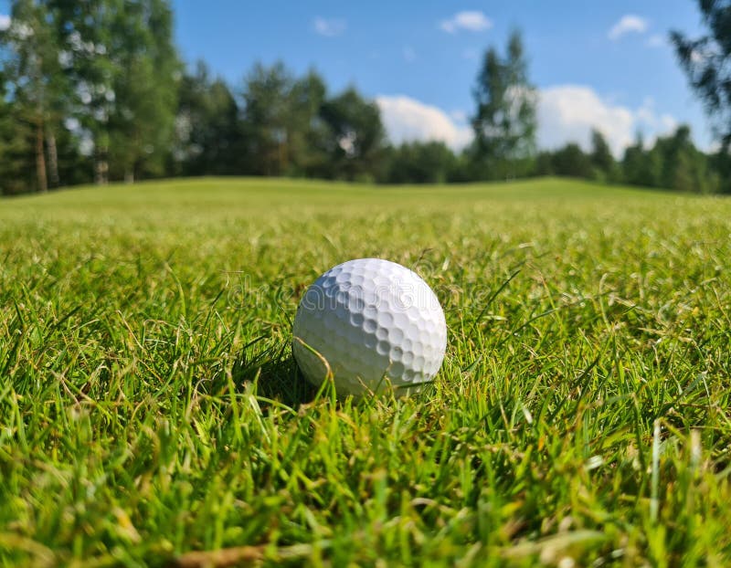 Golf Ball on Green Field. Golfing Closeup Stock Image - Image of ...