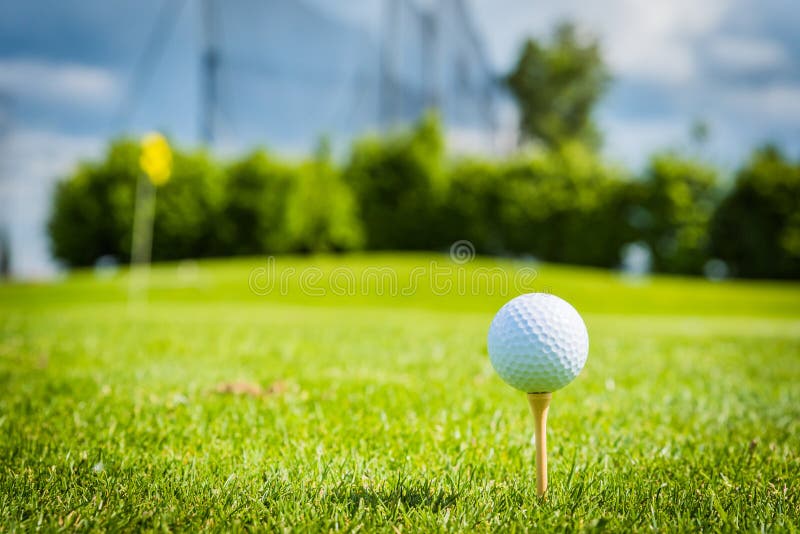 Golf Ball on Golf Green Grass Natural Fairway Stock Photo - Image of ...