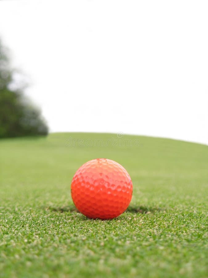 Golfing on the green stock photo. Image of foursome, double - 30026536