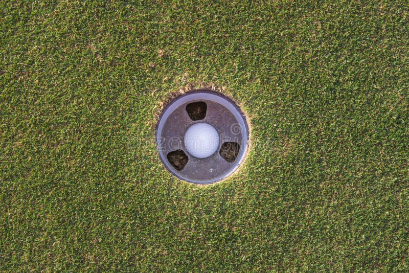 Golf Ball in Hole stock photo. Image of ball, hole, putting - 83205946