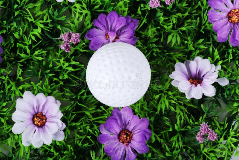 Golf ball in the meadow stock image. Image of greenery - 40989369