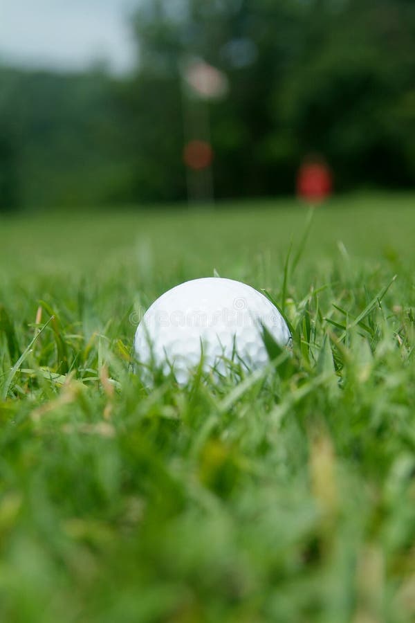 Golf ball in a tree stock image. Image of branch, ball - 1997631