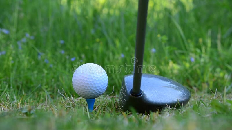 Golf Ball on a Peg Getting Hit with a Driver Stock Footage - Video of ...