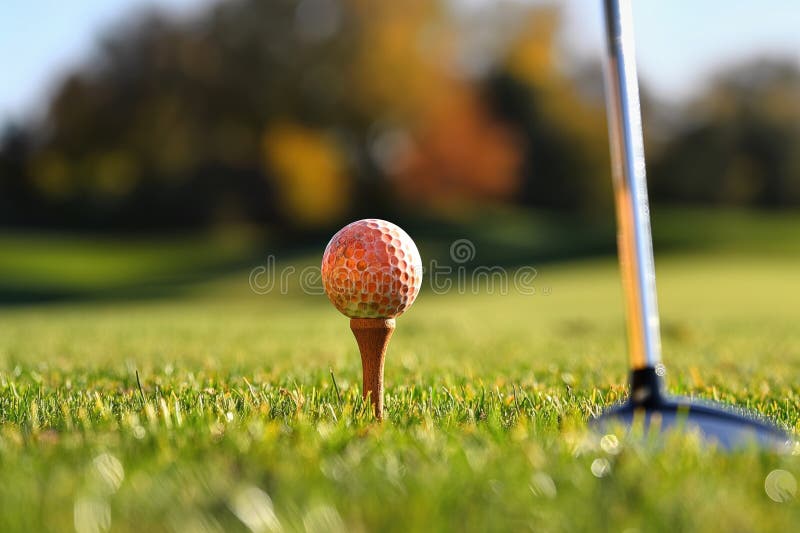 Golf Ball Placed on Tee in Golf Course Setting. Orange, White Ball ...