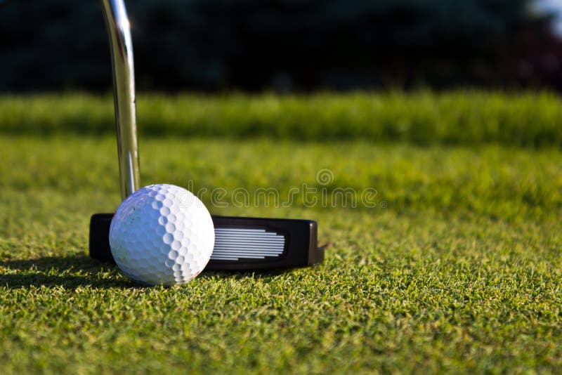 Hitting the ball. stock photo. Image of sport, golfer - 1000488