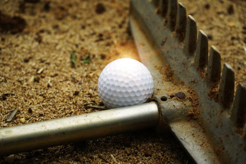 Golf Ball and Raking Sand on Bunker in Beautiful Golf Course at Stock ...
