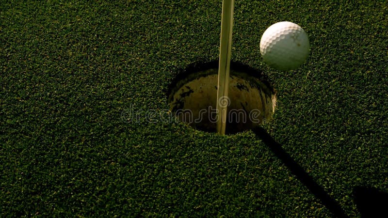 Golf Ball on Green Grass in Motion Stock Footage - Video of exercise ...