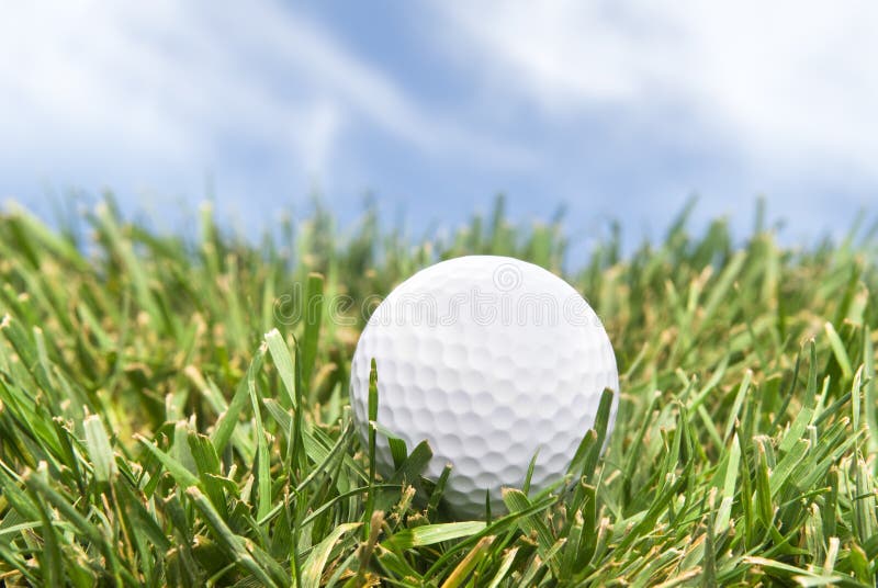 Golf ball in the rough stock photo. Image of outdoors - 11112814
