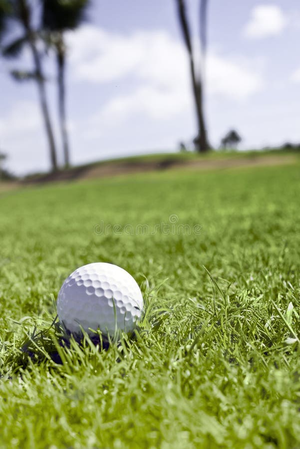 Close Up of Golf Ball on Tee and Driver Set Up Stock Image - Image of ...