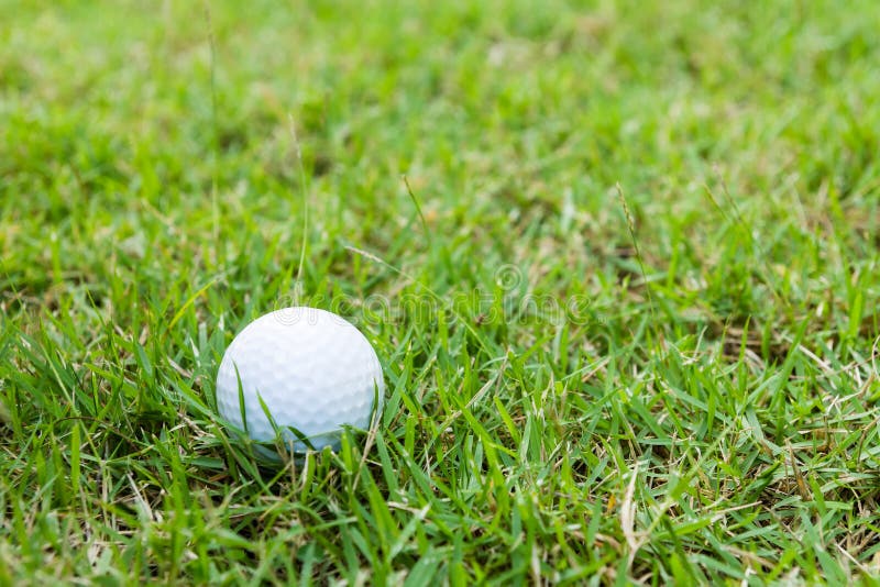 Golf ball stock image. Image of conquering, golf, rough - 31914353