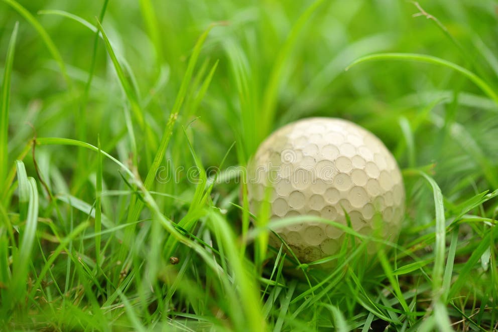 Golf ball stock image. Image of ball, nature, problems - 41796109