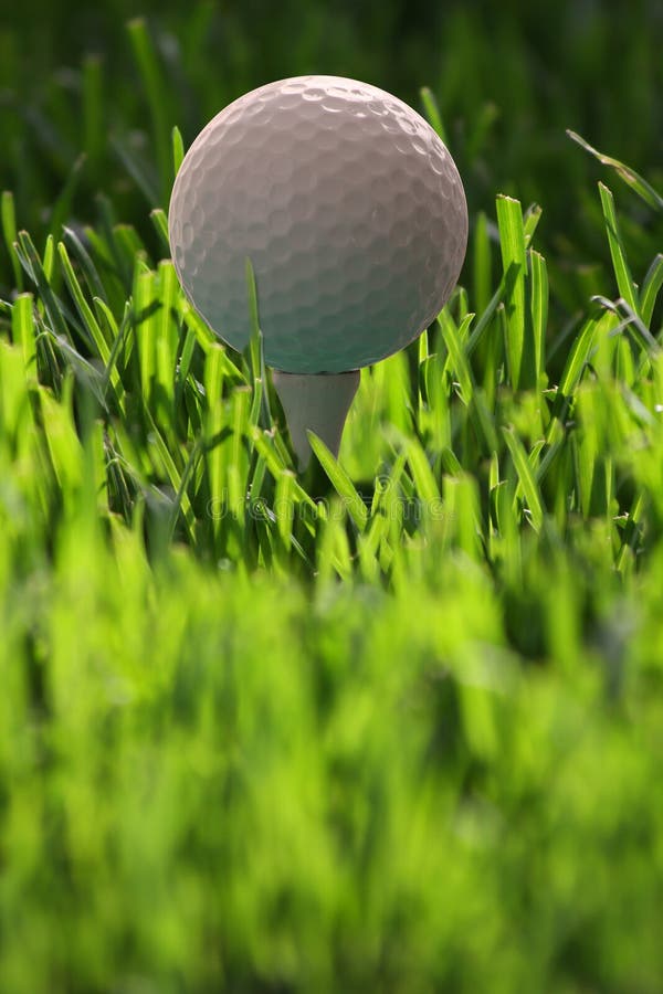 Golf ball on tee stock photo. Image of start, golfing - 14211756