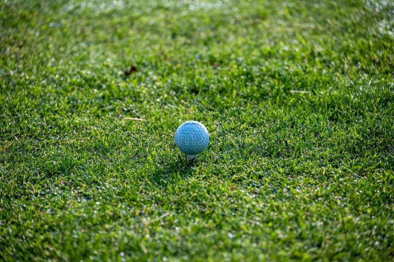 Golf ball on the tee stock image. Image of club, golfer - 365347673