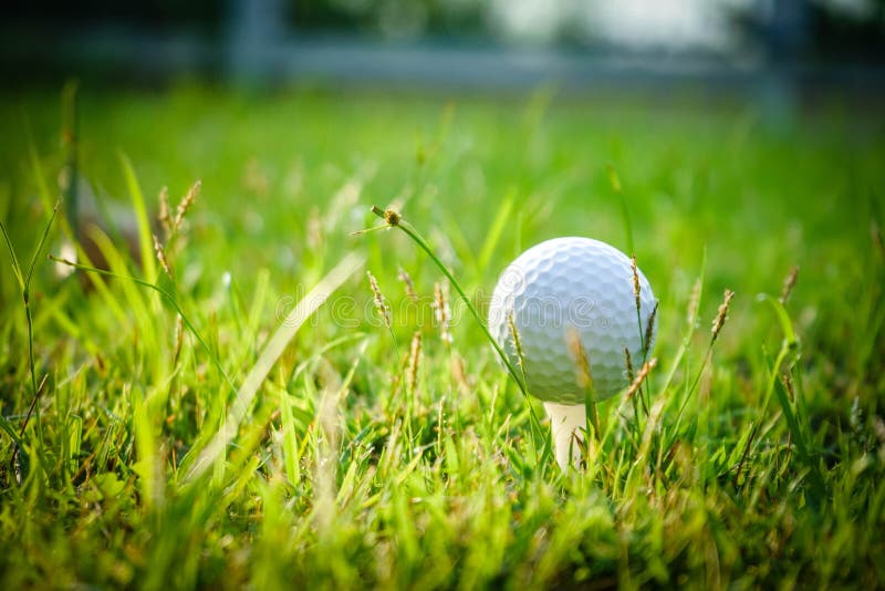 Golf Ball on Tee in Beautiful Golf Course at Sunset Background Stock ...